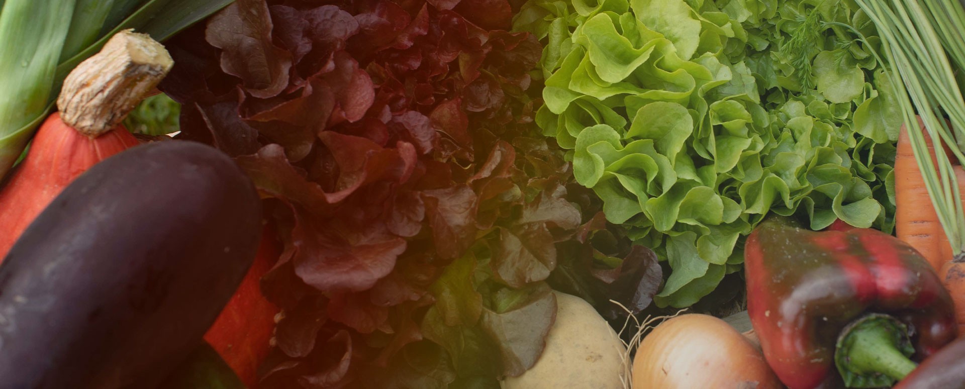 Acheter Légumes Bio à Chambéry - Vente Directe Savoie | À Travers Champs